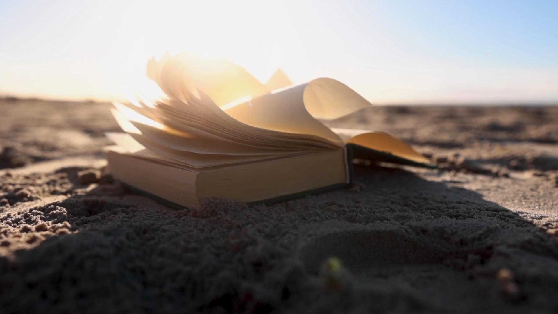 Fiction & Romance Thrillers - Freddie Sampayo